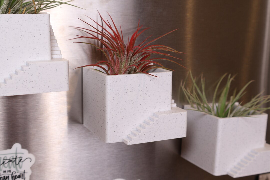 Fridge Magnet Stairs Planter, Perfect for Growing Air Plants or as a ...