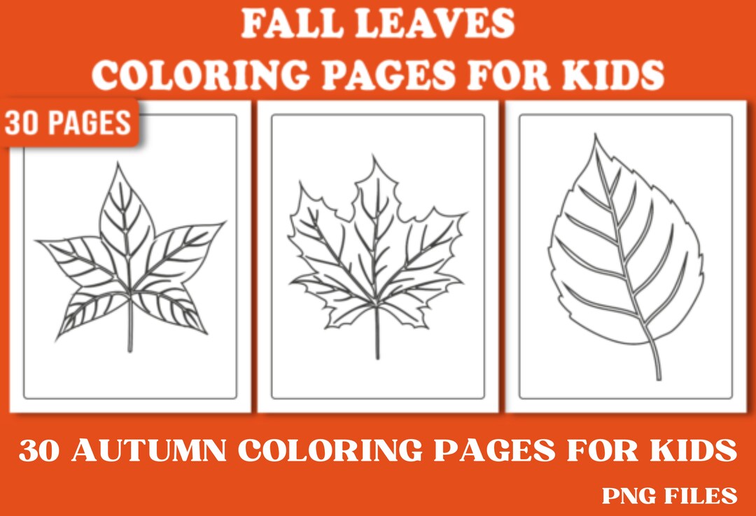 FALL LEAVES COLORING Pages, for Adults and Teens,30 Pages Autumn Leaves ...