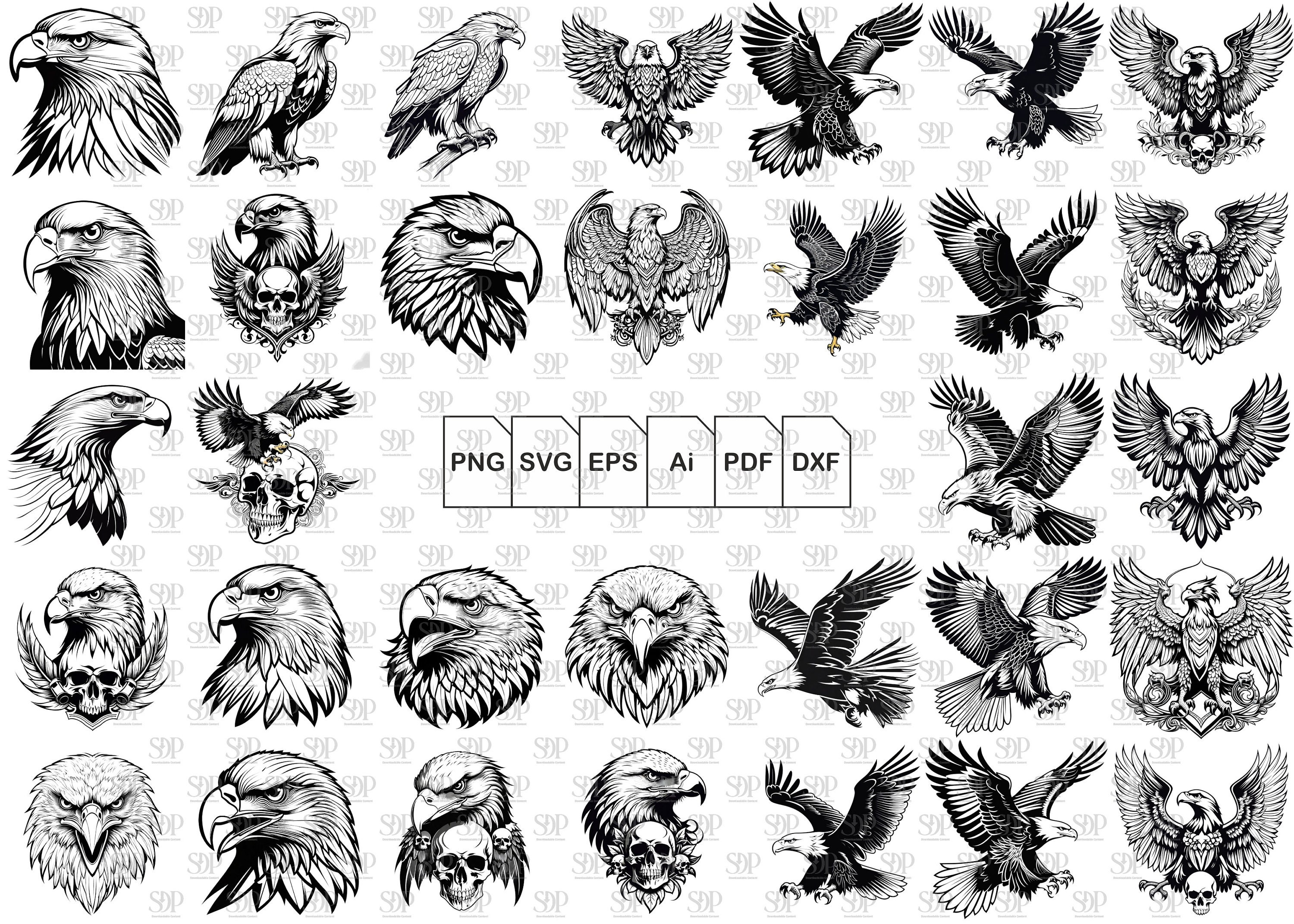 45 Eagle SVG BUNDLE, archivo vectorial, imágenes prediseñadas de cabeza ...