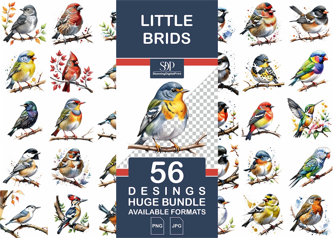 56 Bird Clipart Bundle, Watercolor Birds Clipart ,birds Art Prints,cute ...