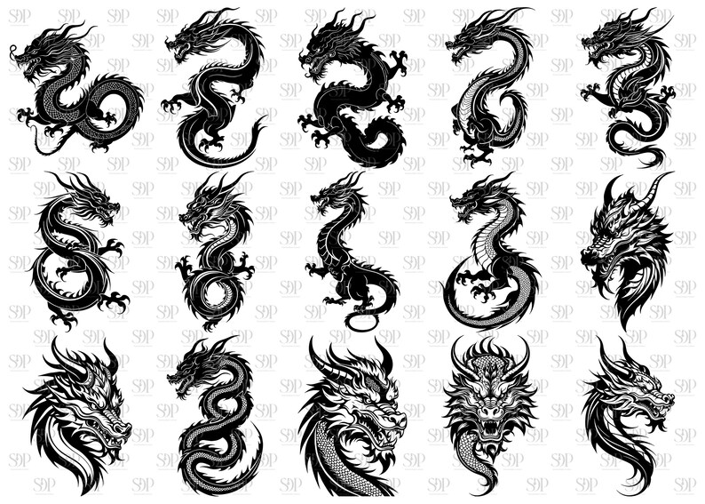 90 Asian Dragon SVG BUNDLE, Vector File, Dragon Cricut, Vector Dragon ...
