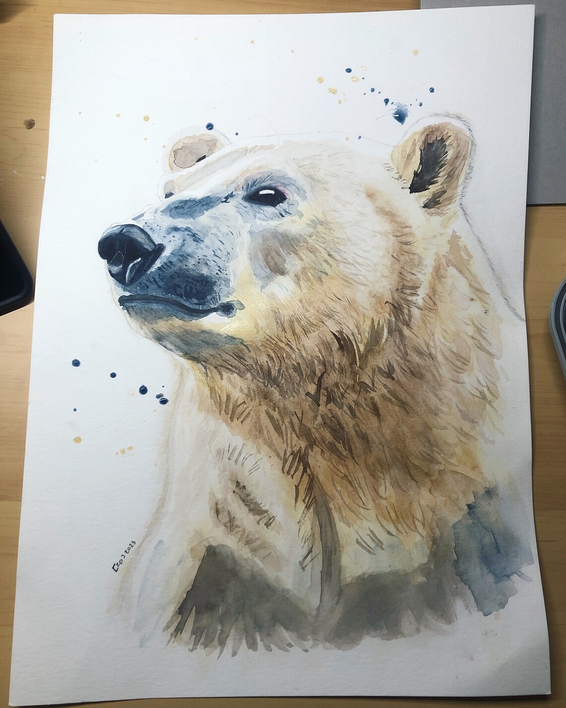 Portrait Dours Polaire à L'aquarelle - Etsy