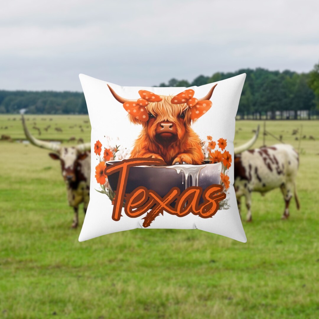 Texas Pillow Cute Cow Pillow Texas Gifts for Texans Texas Cow Highland ...