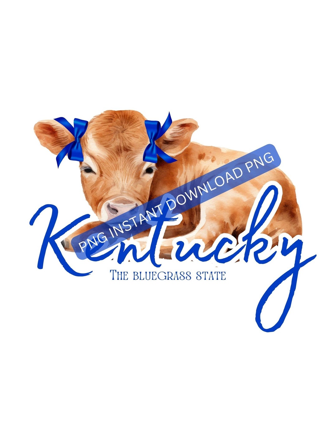 Kentucky PNG Kentucky Design Kentucky Cow PNG Cute Cow Baby Cow ...