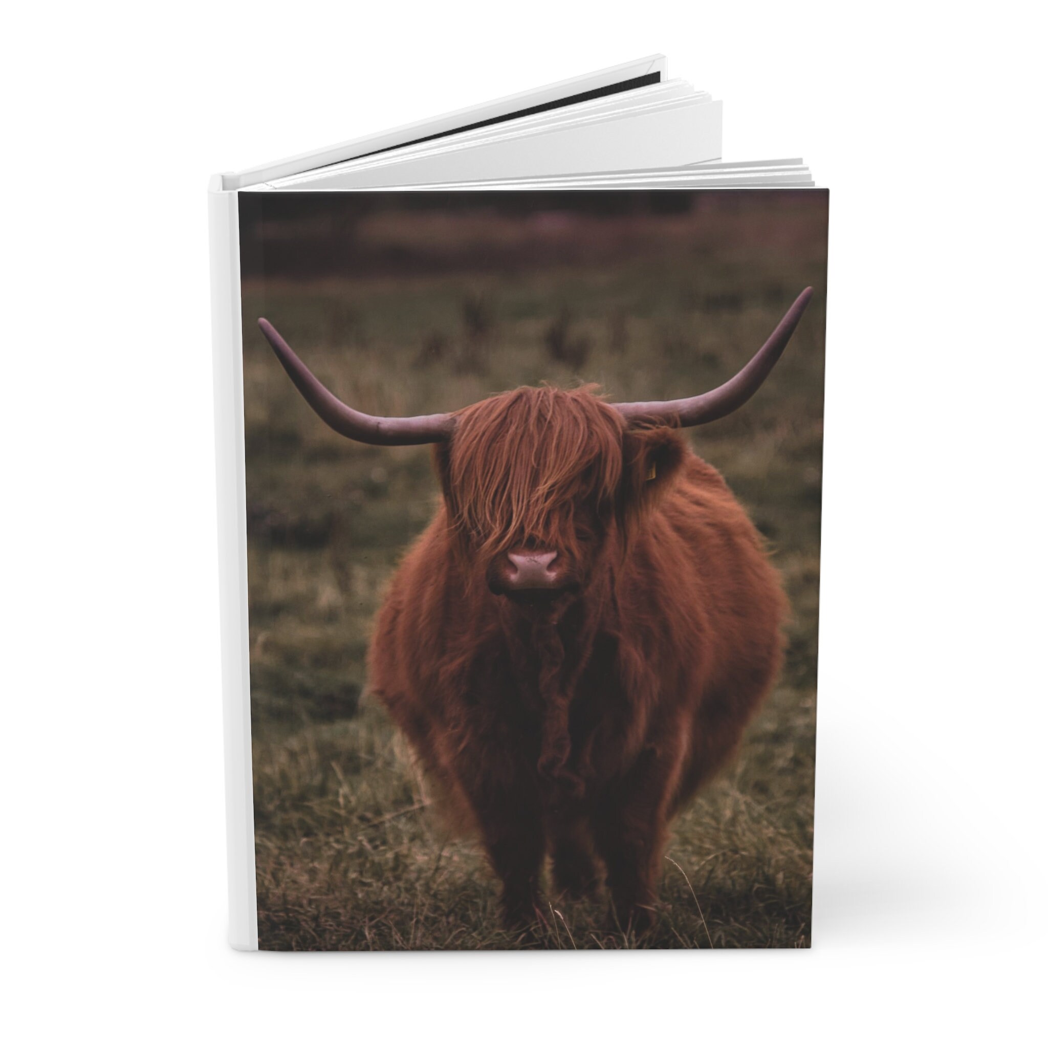 Cow Notebook Cow Journal Farm Animal Notebook Barn Animal Notebook ...