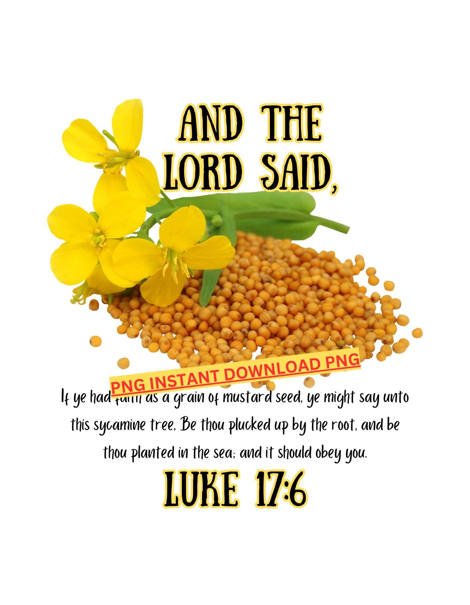 Mustard Seed PNG File Faith Png Mustard Seed Design Faith Design ...