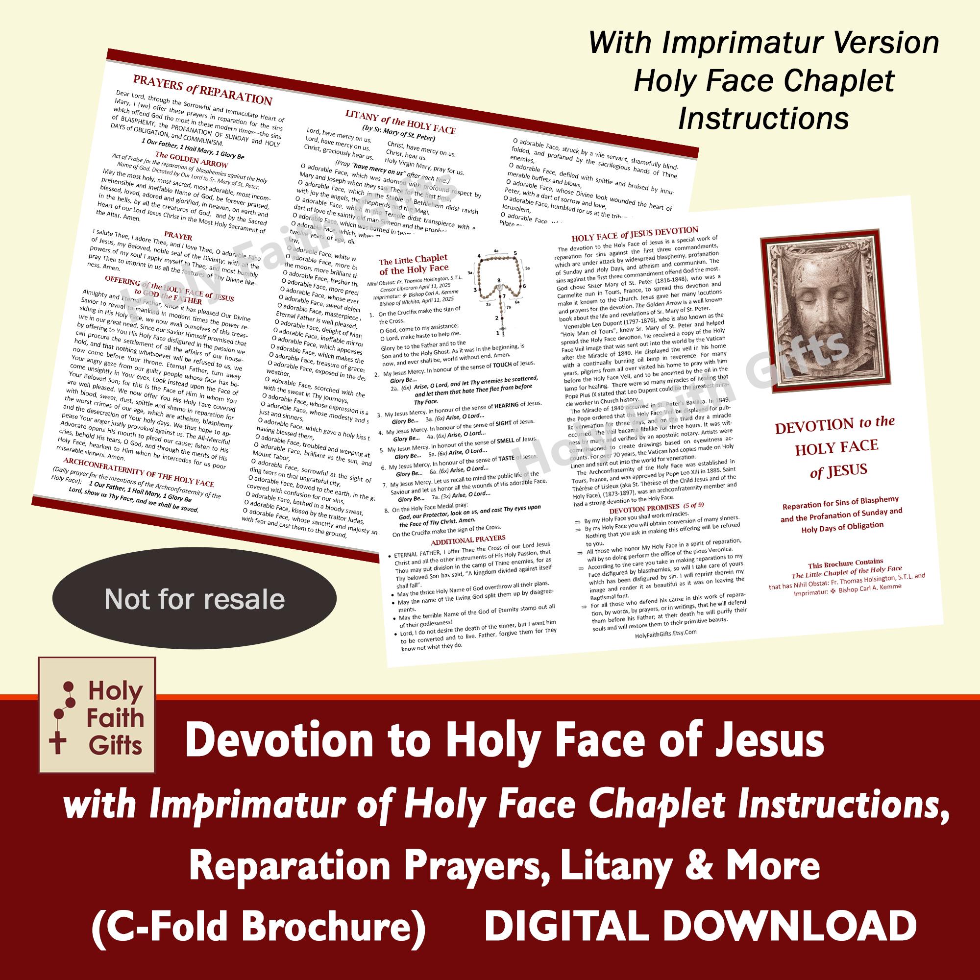 HOLY FACE Prayer Brochure W/imprimatur Version of the Holy Face Chaplet ...