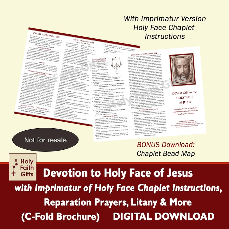 HOLY FACE Prayer Brochure W/imprimatur Version of the Holy Face Chaplet ...
