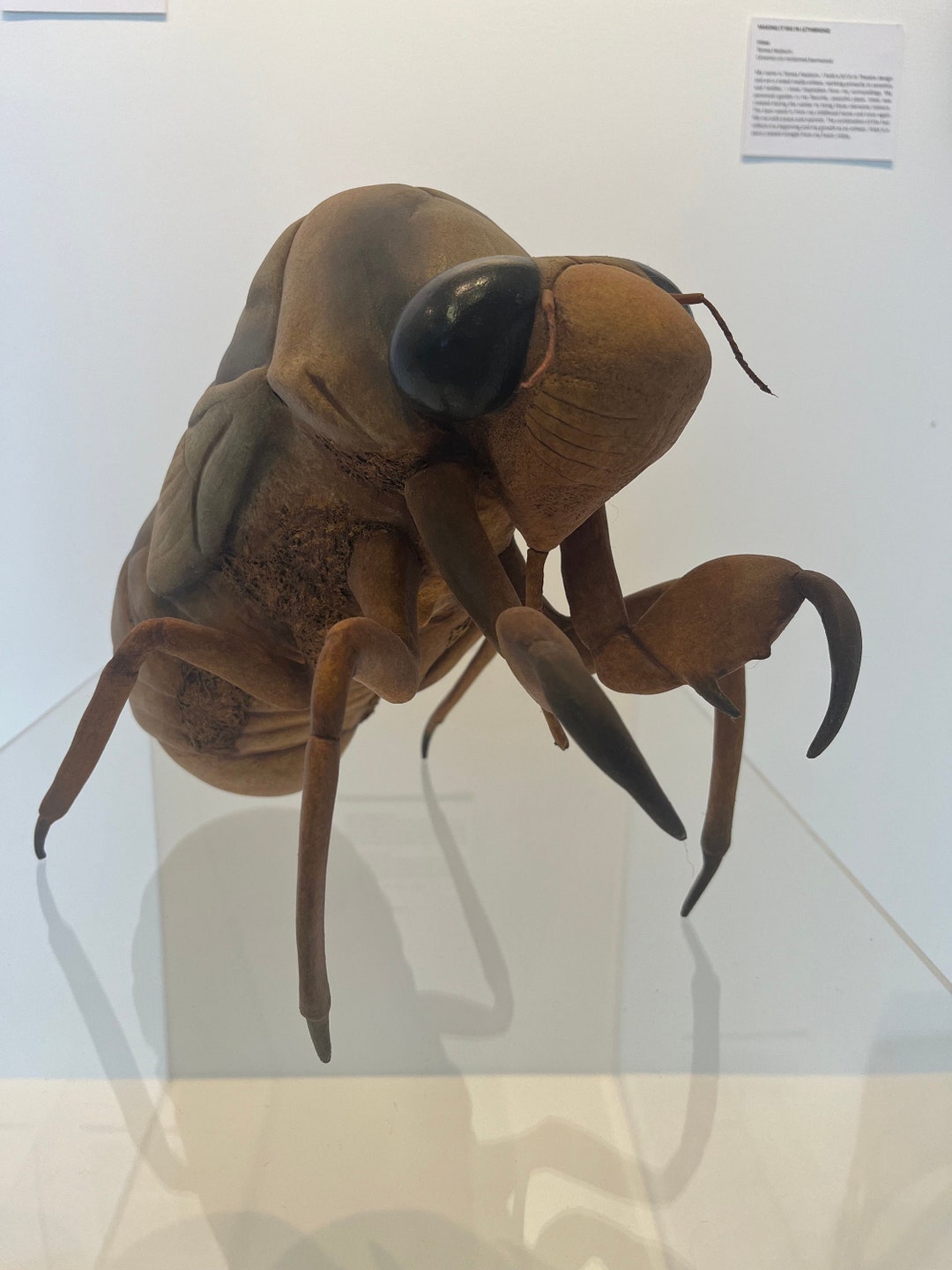 Baby Cicada Sculpture - Etsy