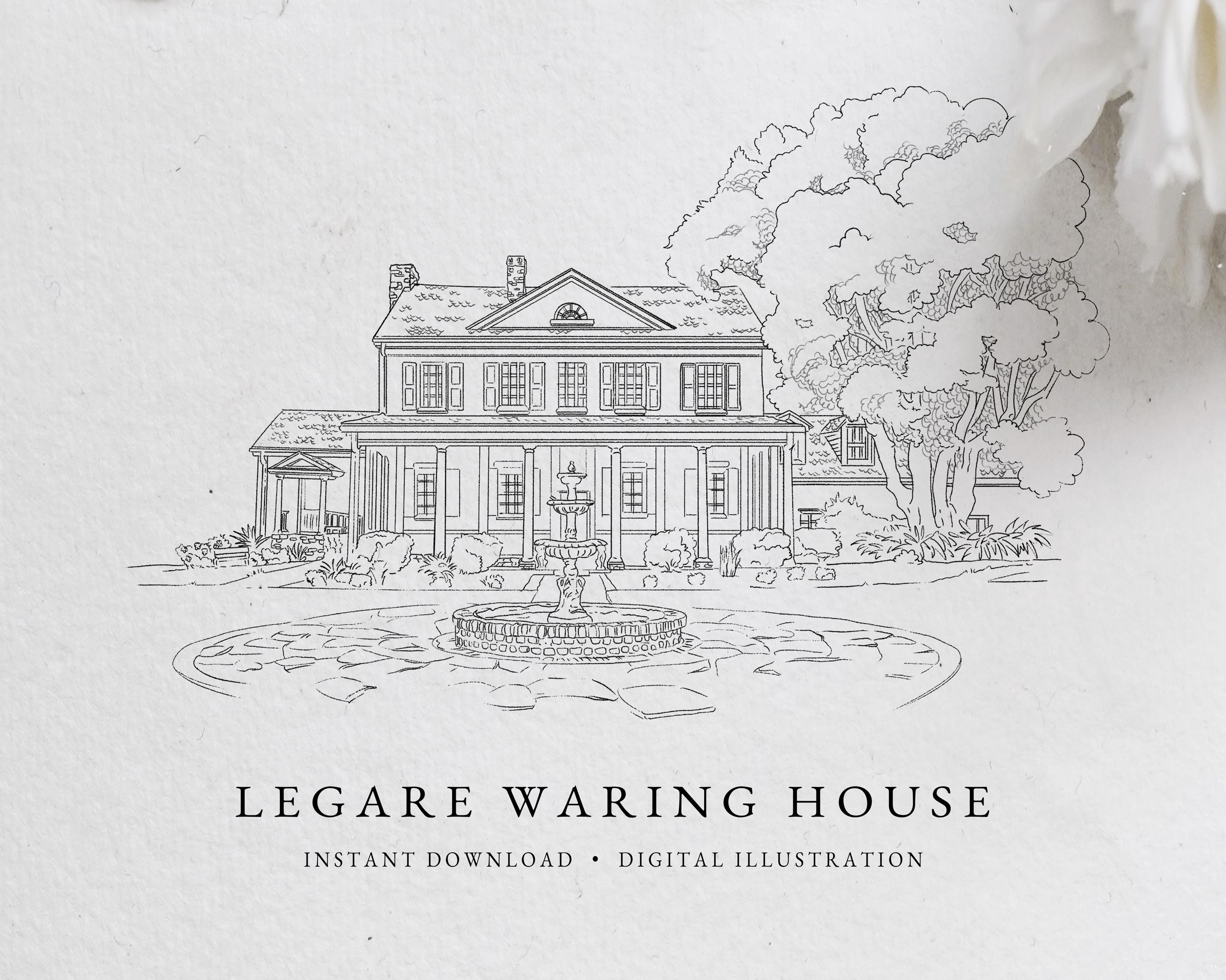 Legare Waring House, Charleston SC - Venue Line Drawing - Hand Drawn ...