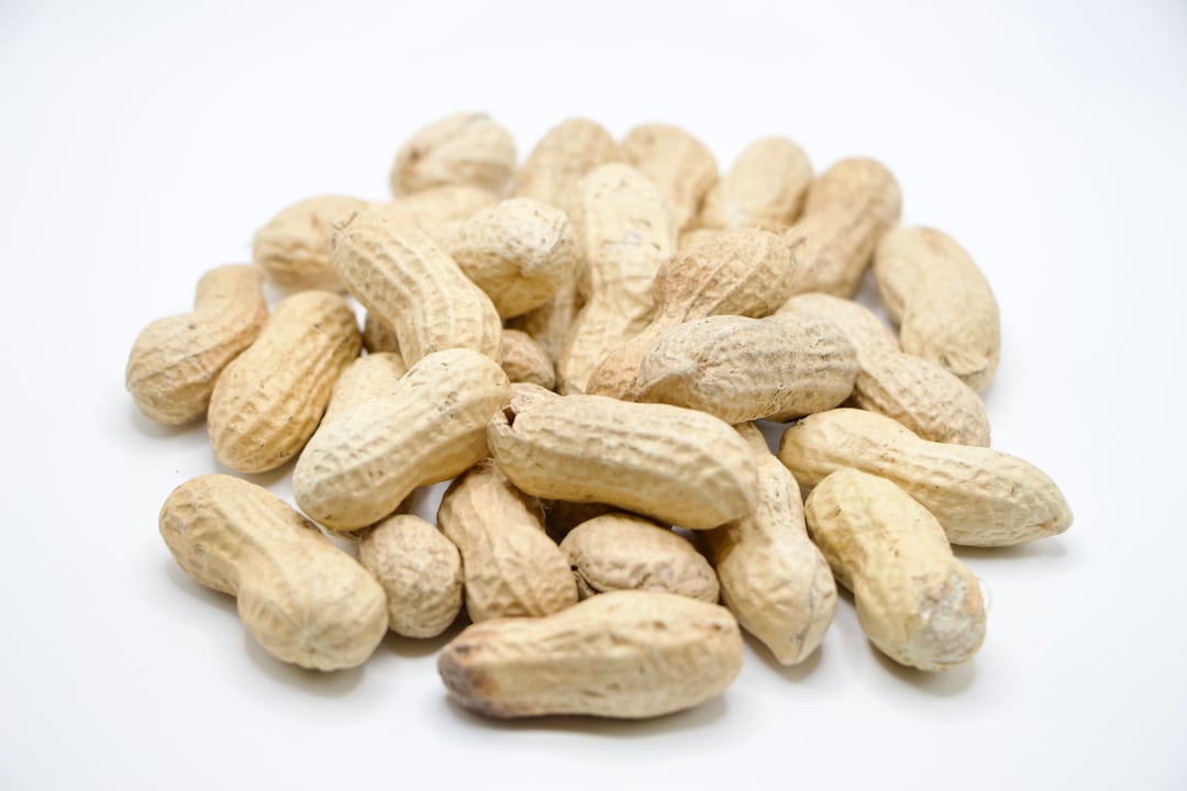 Peanuts (in Shell) for Small Animals | Hamstereatery's Small Pet Treats ...