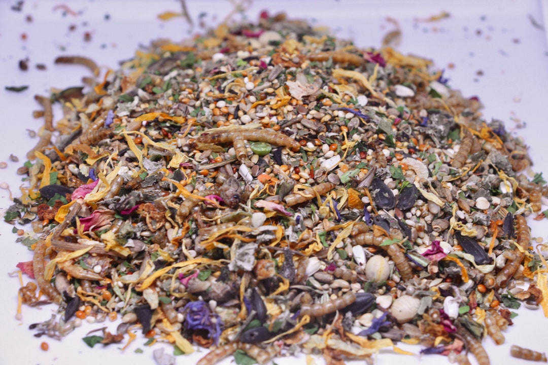 500g Roborovski Hamster Seed Mix Hamstereatery - Etsy