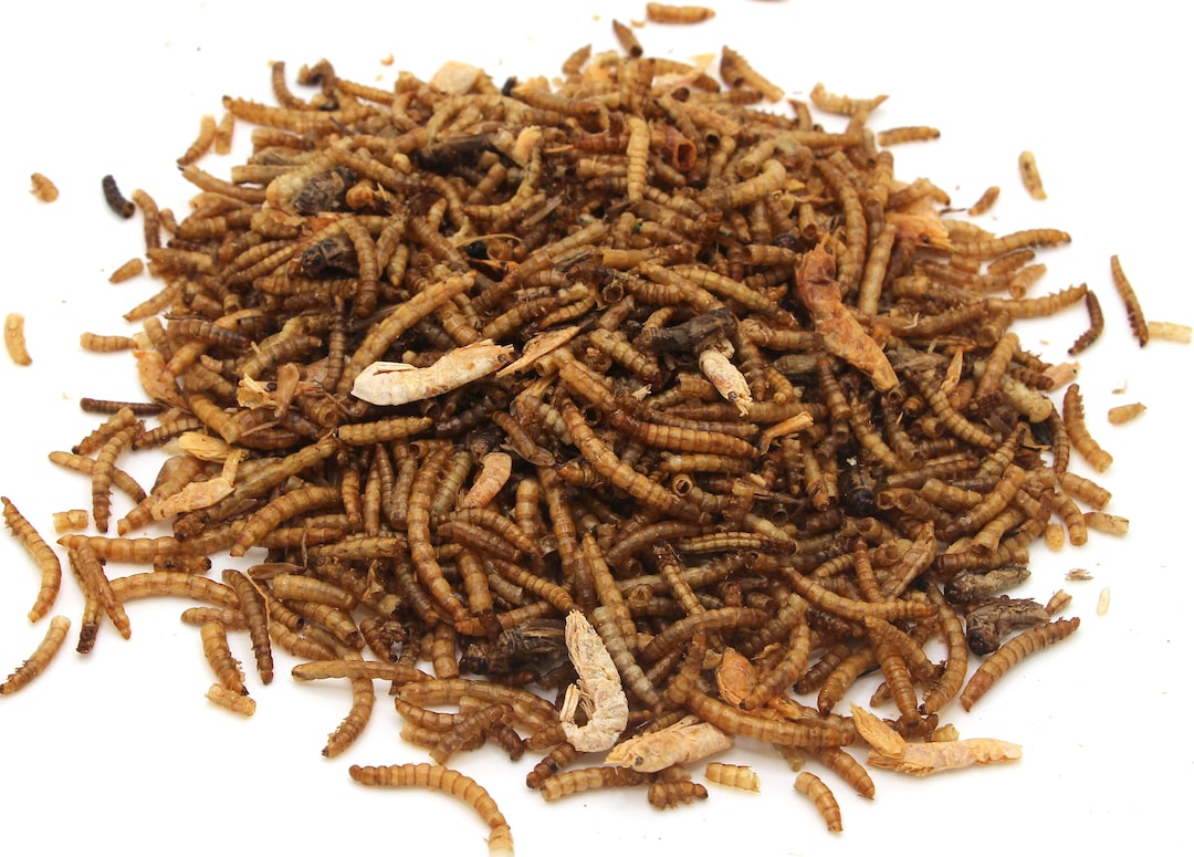 Gourmet Animal Protein Mix for Hamsters, Gerbils, Mice, & Rats ...