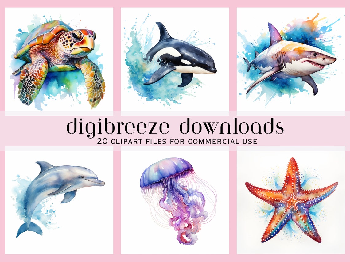 20 Watercolor Ocean Animals Clipart, Sea Life Graphics, Dolphin Whale ...