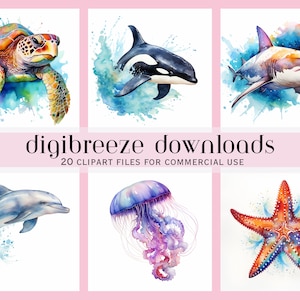 20 Watercolor Ocean Animals Clipart, Sea Life Graphics, Dolphin Whale ...