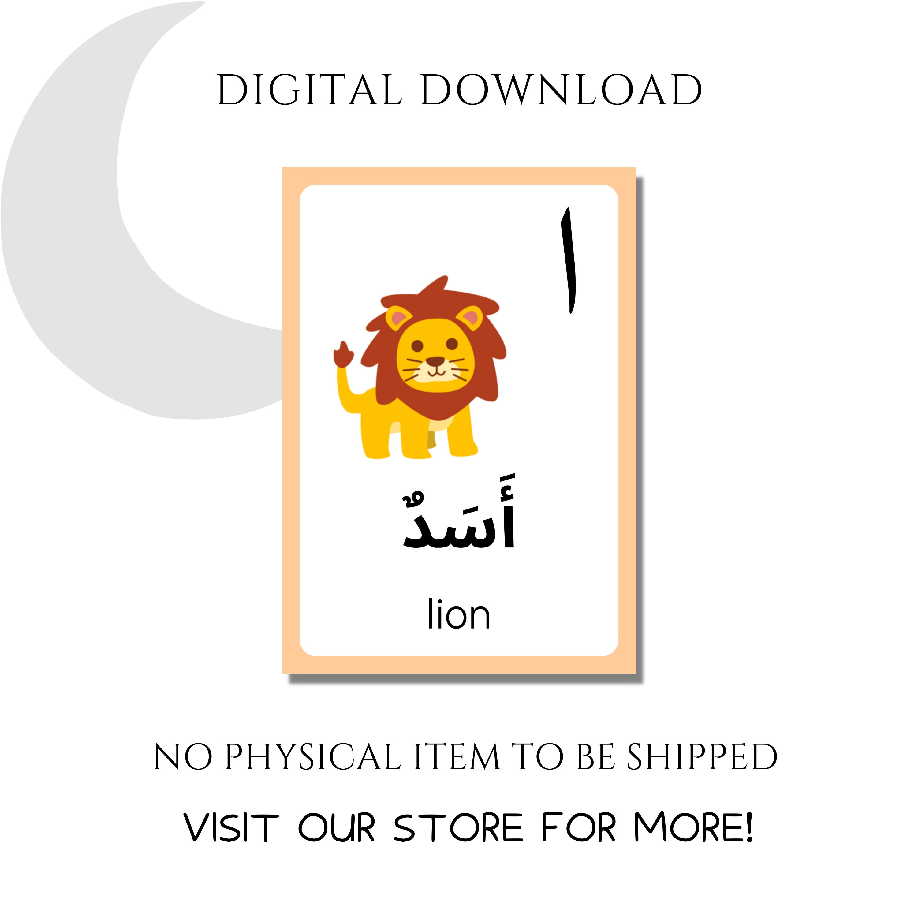 Animals in Arabic Flashcards Kids Learning Cards Arabic Vocabulary ...
