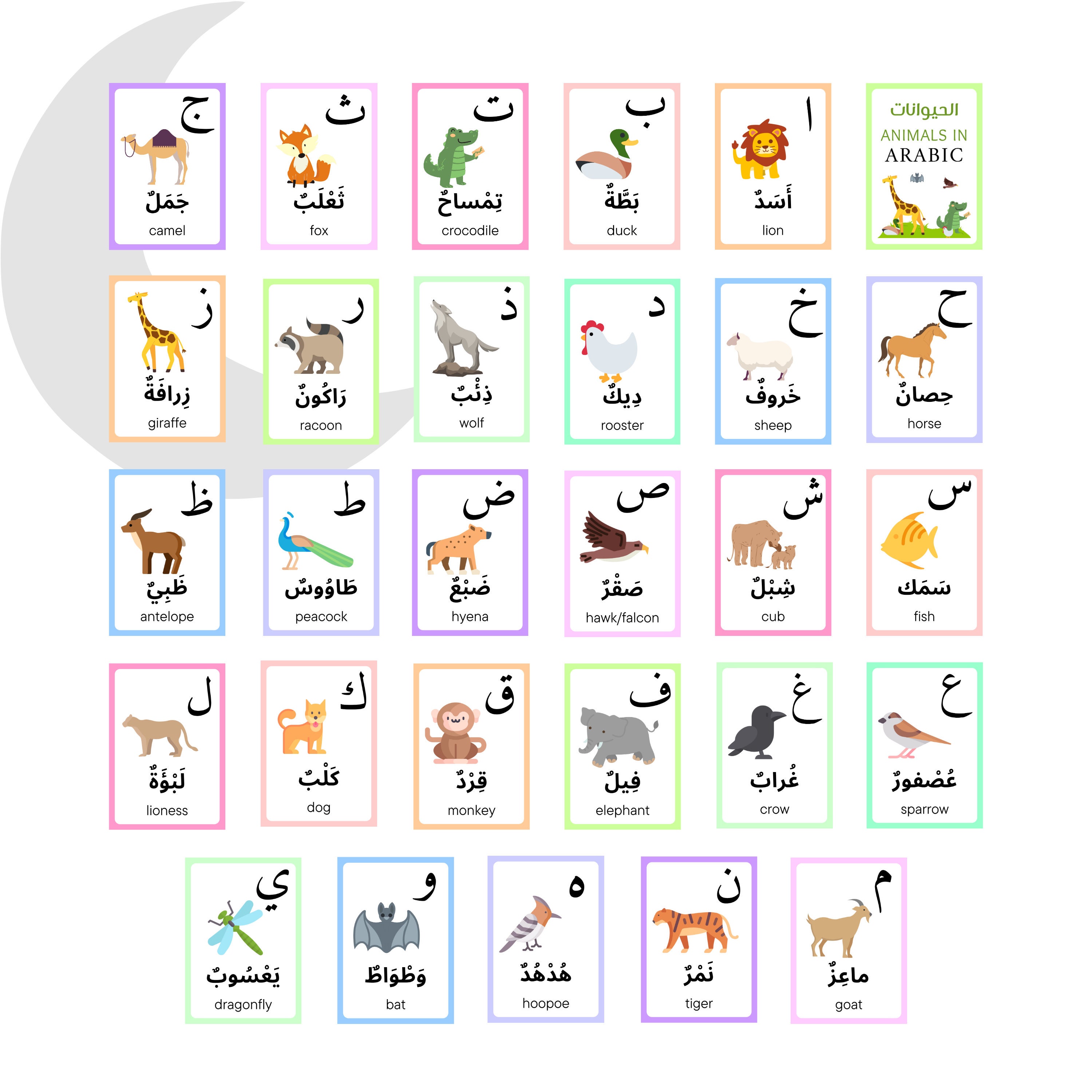 Animals in Arabic Flashcards | Kids Learning Cards | Arabic Vocabulary ...