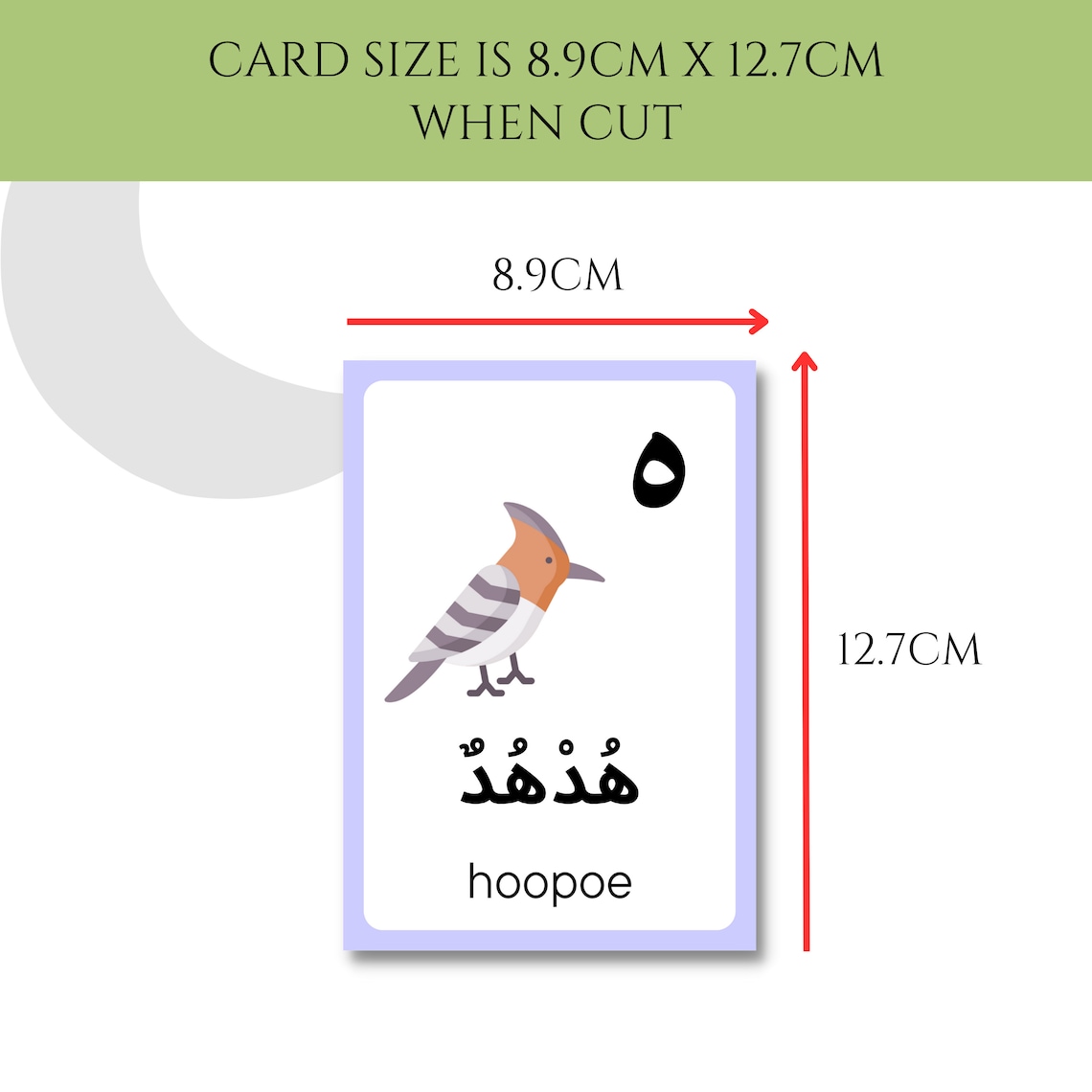 Animals in Arabic Flashcards Kids Learning Cards Arabic Vocabulary ...