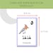 Animals in Arabic Flashcards Kids Learning Cards Arabic Vocabulary ...