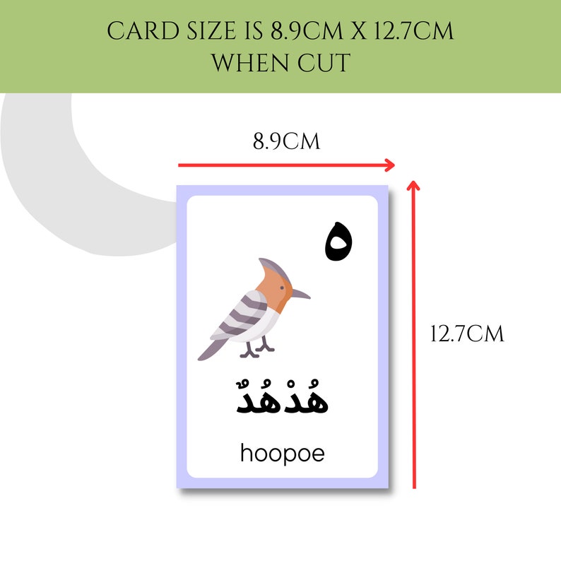 Animals in Arabic Flashcards Kids Learning Cards Arabic Vocabulary ...