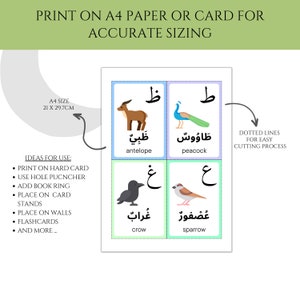 Animals in Arabic Flashcards | Kids Learning Cards | Arabic Vocabulary ...