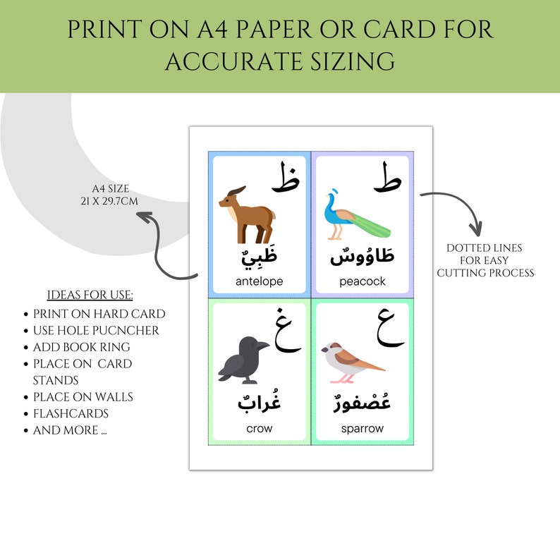 Animals in Arabic Flashcards Kids Learning Cards Arabic Vocabulary ...