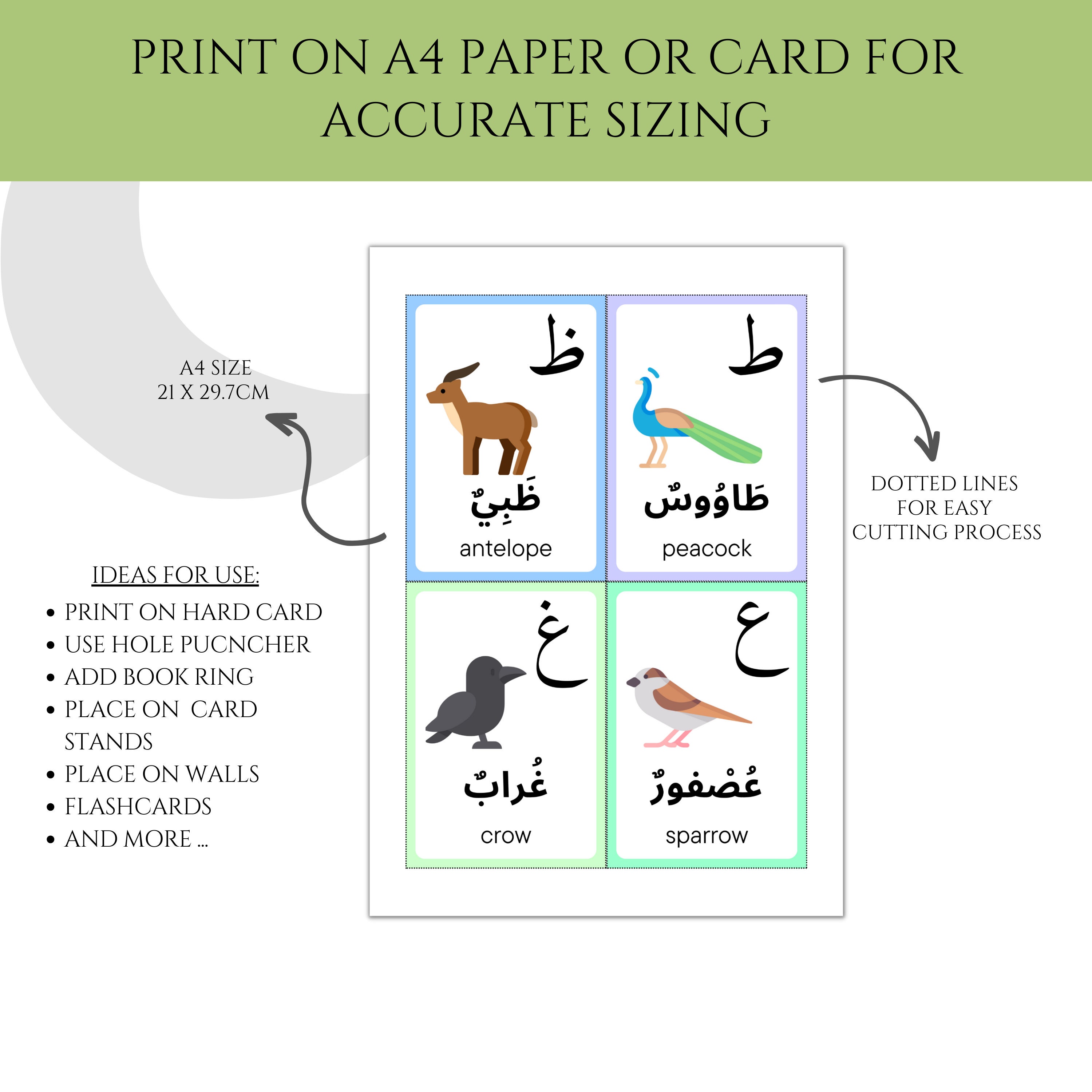 Animals in Arabic Flashcards Kids Learning Cards Arabic Vocabulary ...