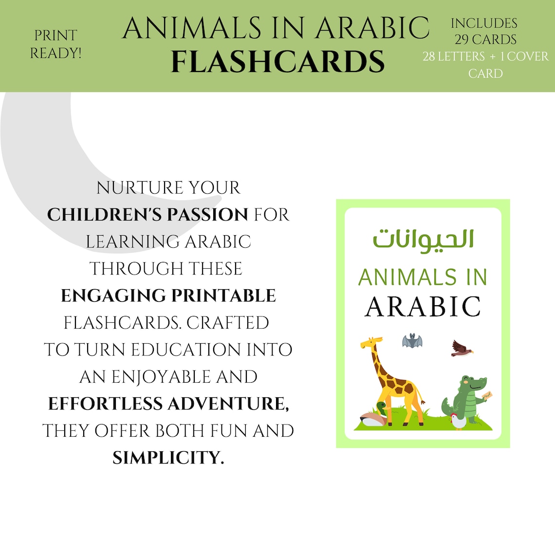 Animals in Arabic Flashcards Kids Learning Cards Arabic Vocabulary ...