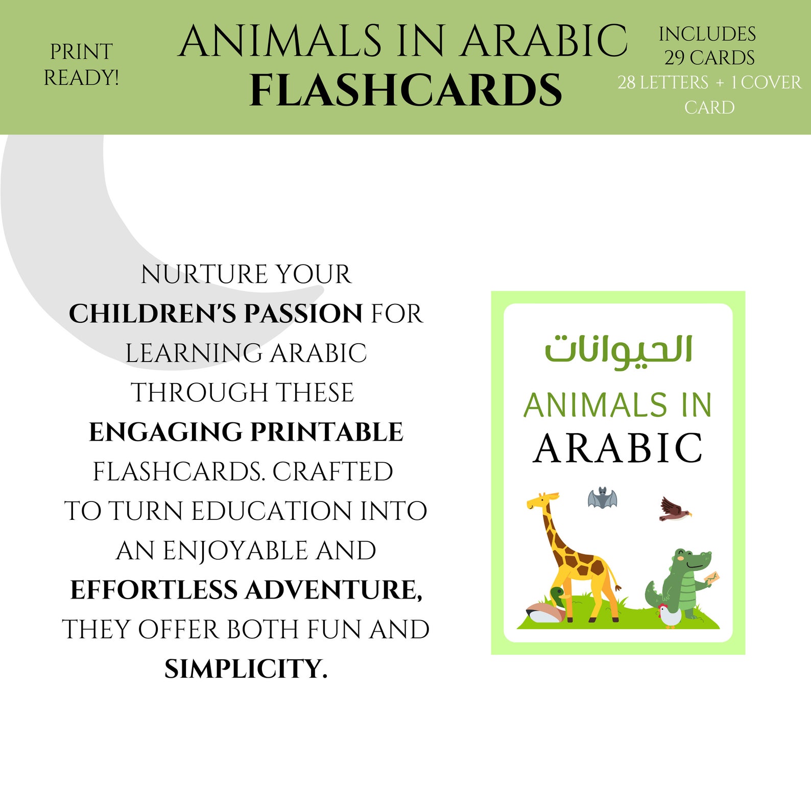 Animals in Arabic Flashcards | Kids Learning Cards | Arabic Vocabulary ...