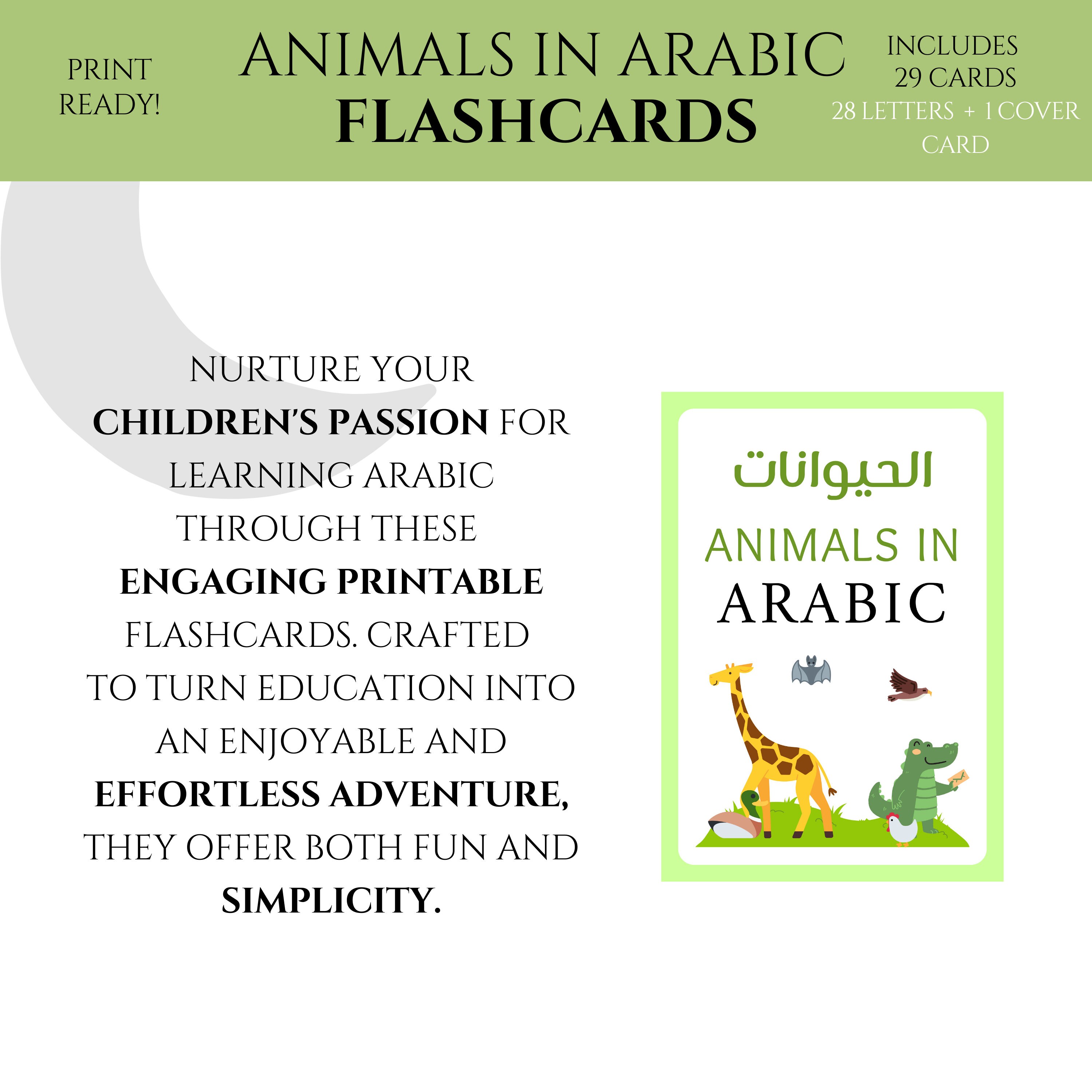 Animals in Arabic Flashcards | Kids Learning Cards | Arabic Vocabulary ...