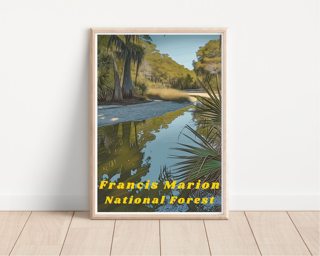 Vintage-inspired National Forest Travel Poster, Francis Marion Wall Art ...