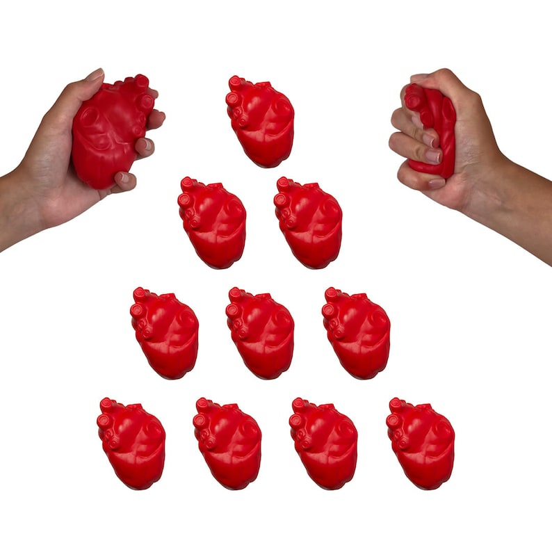 10 Pack Stress Ball Human Anatomical Heart Anti-stress - Etsy Australia