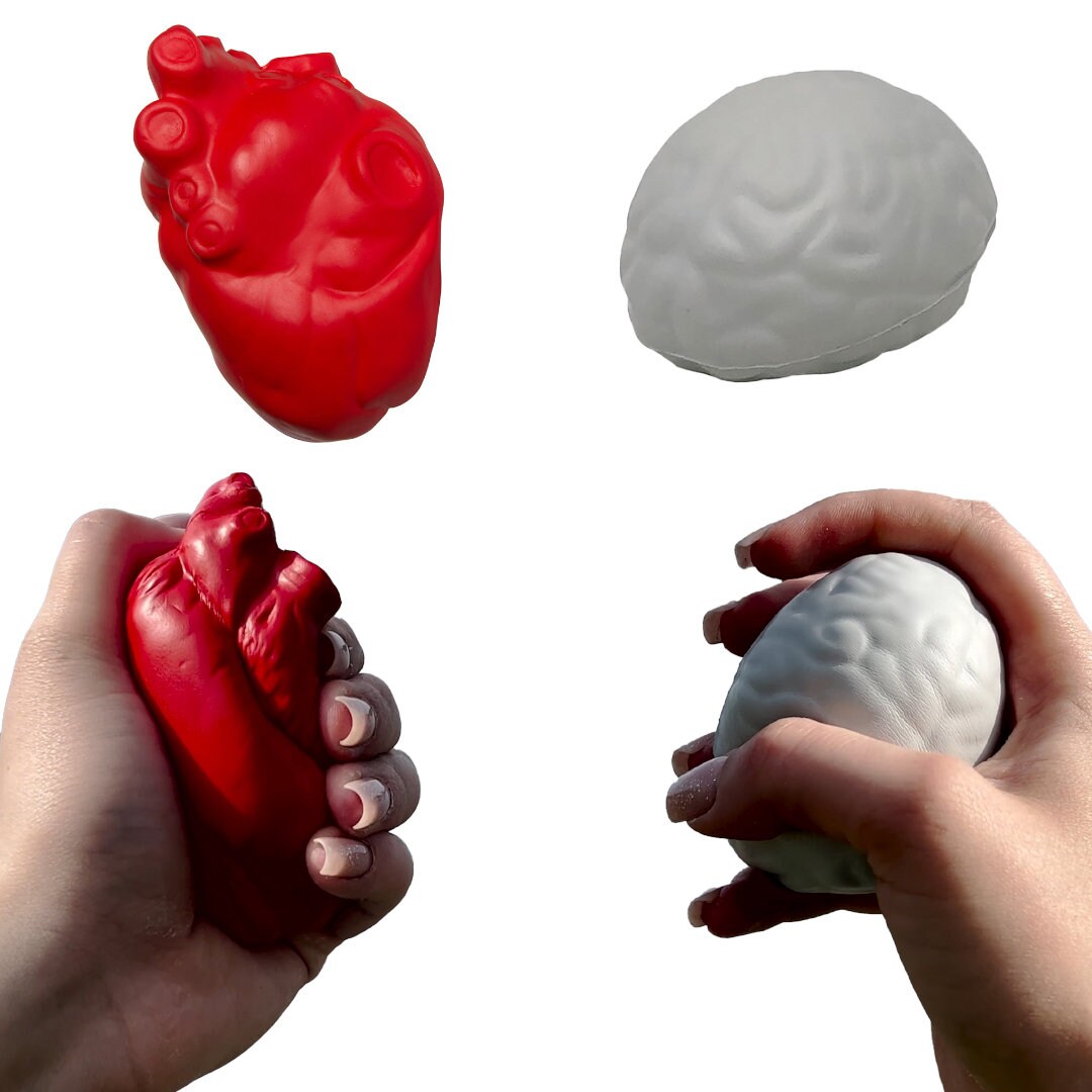 Anti-stress Squeeze Set of Anatomical Heart and Brain - Etsy