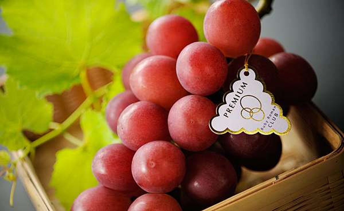 Japanese Ruby Roman Grape Plant - Etsy Canada