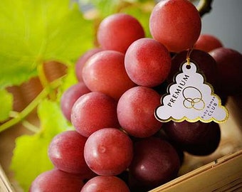 Japanese Ruby Roman Grape Vine, Bare Root, Ishikawa Ruby Roman, ルビーロマン ...