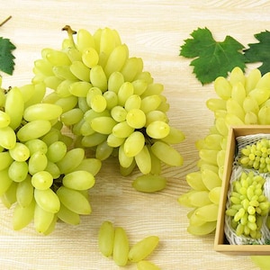 Japanese Gold Finger Grape Plant (bare Root) - Etsy