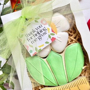 Teacher Appreciation Potted Flower Gift Box Set (california Shipments ...
