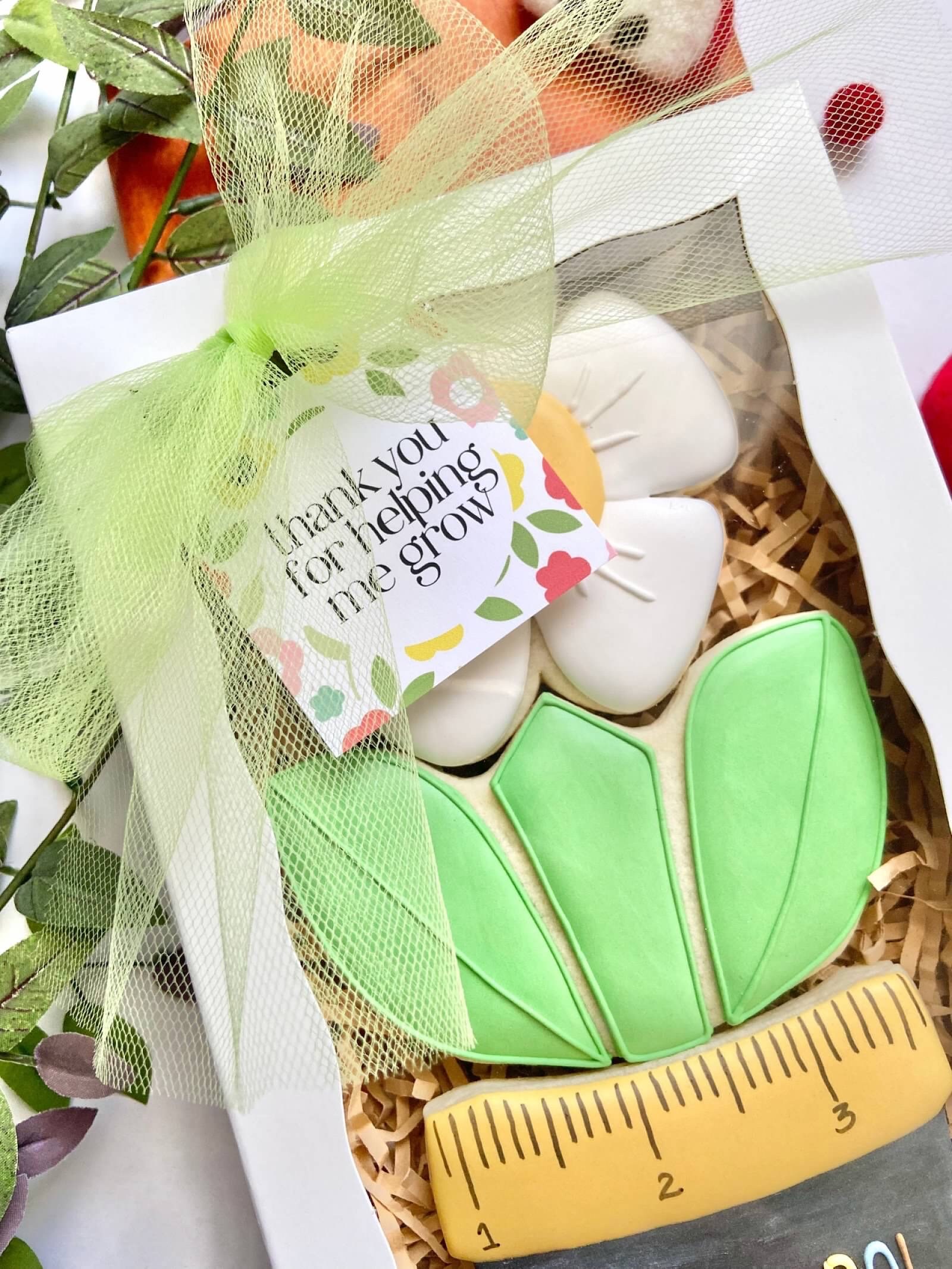 Teacher Appreciation Potted Flower Gift Box Set california - Etsy