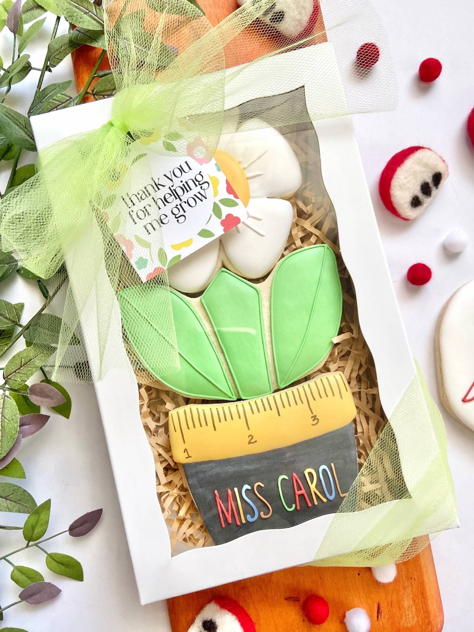 Teacher Appreciation Potted Flower Gift Box Set california - Etsy