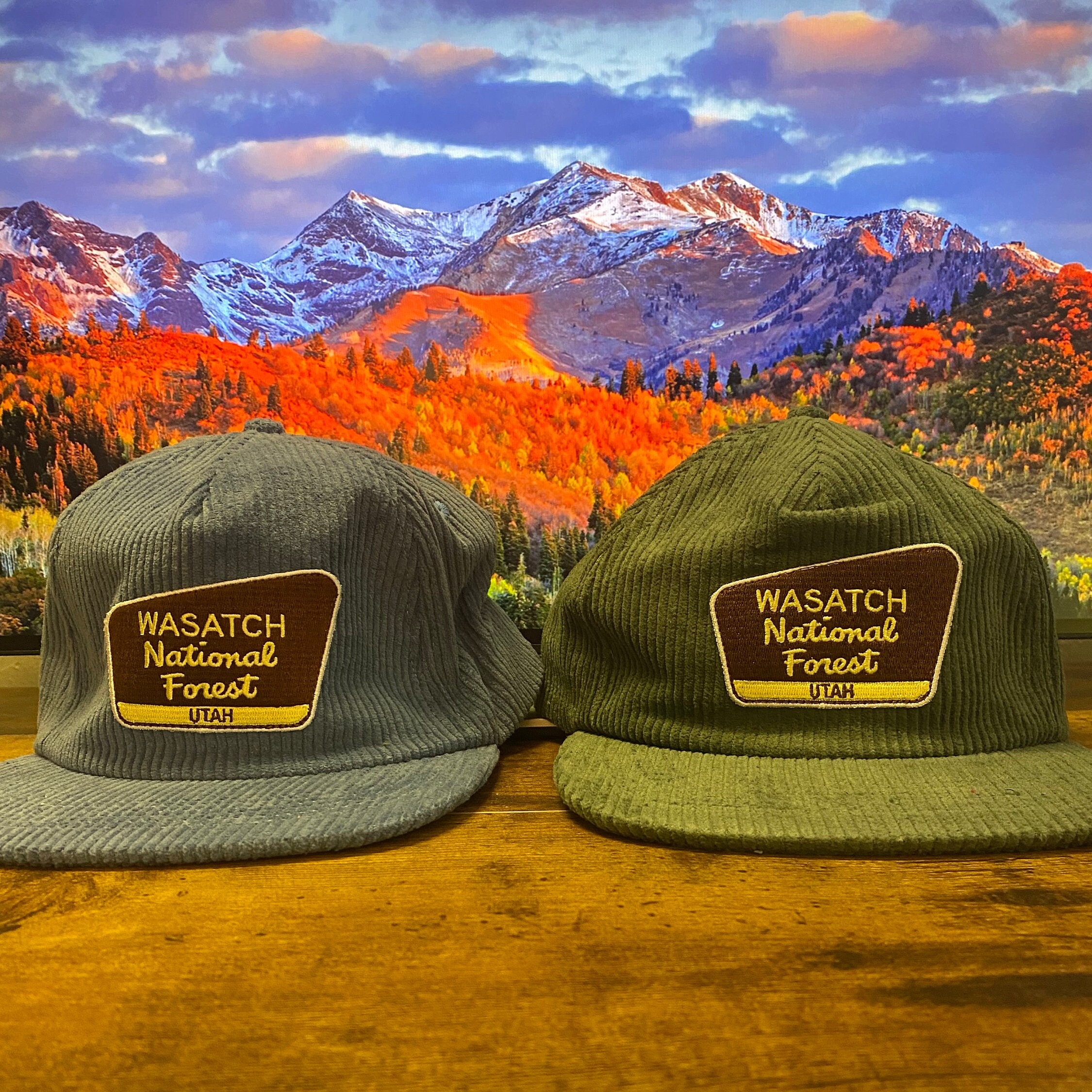 Wasatch National Forest Corduroy Hat Ski Utah Alta Snowbird Brighton ...