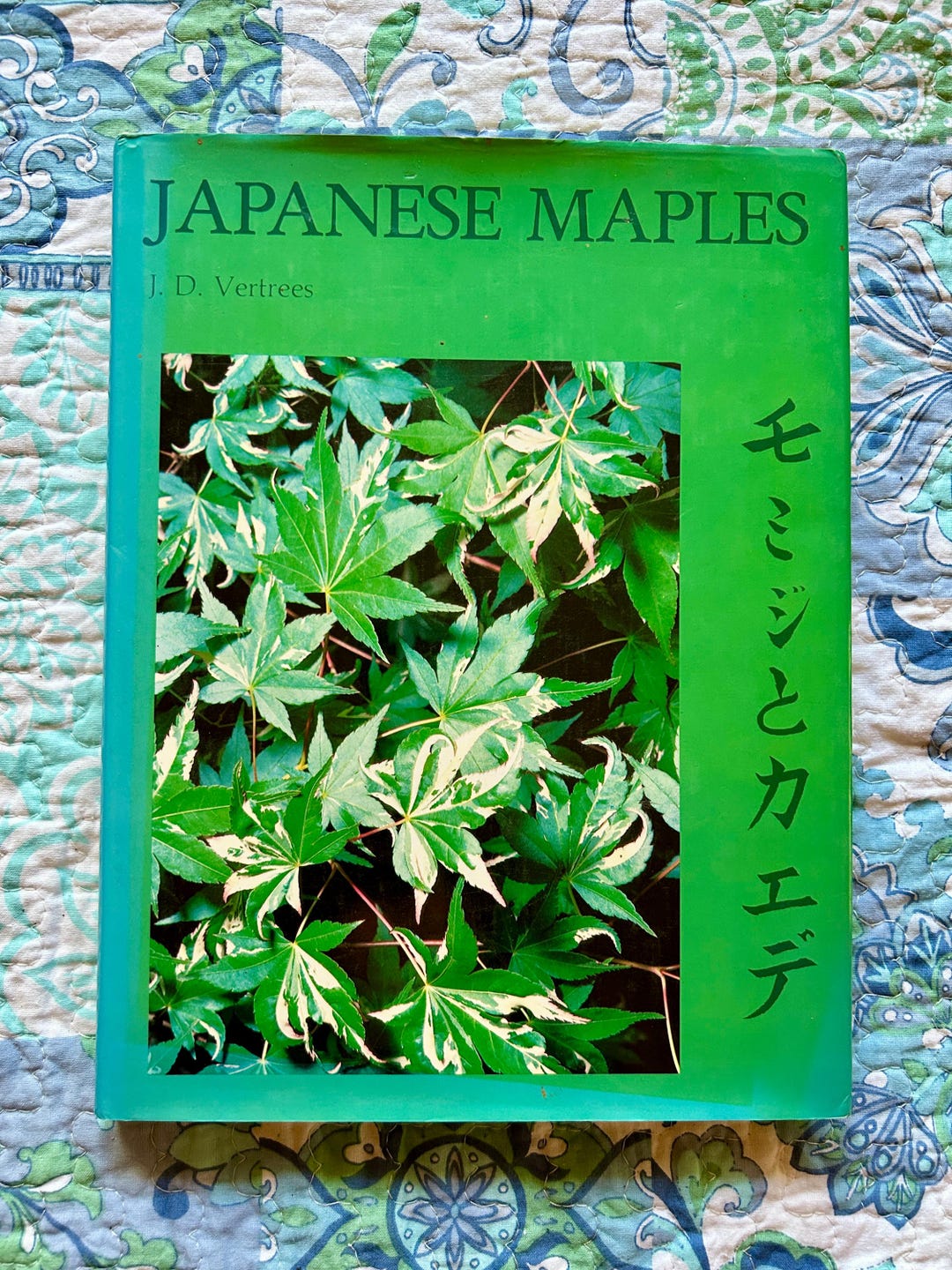 Japanese Maples Momiji and Kaede by J.D. Vertrees, 1985 Hardcover Book ...