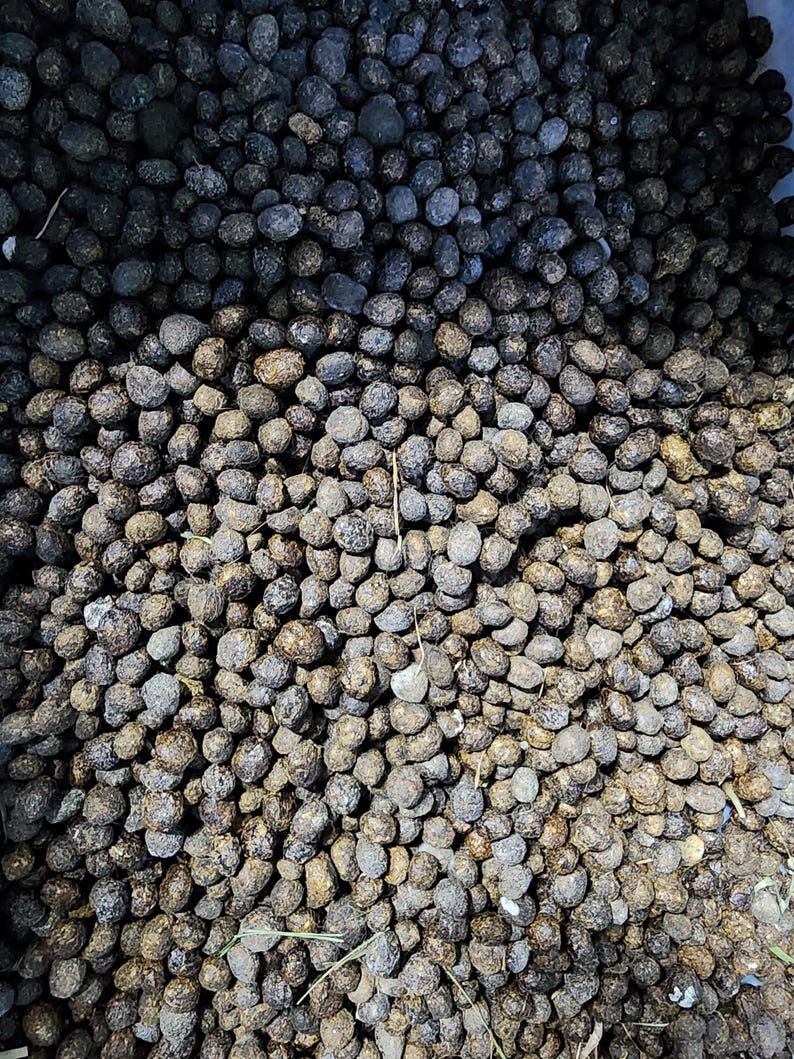 Rabbit Manure, Bunny Booty Dooty,rabbit Pellets, Bunny Berries ...