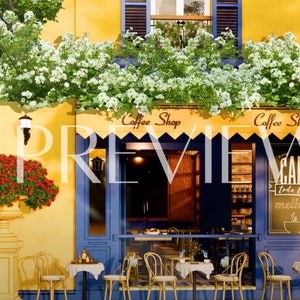 Spring Summer Morning Digital Blossom Flowers Zoom Background Home ...