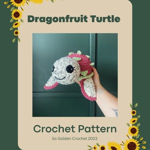 Dragonfruit Turtle Crochet Pattern *PDF ONLY* - Etsy