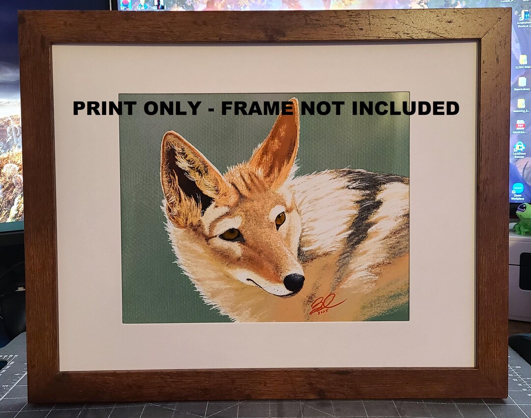 Warm Regards - Art Print - Black Backed Jackal Digital Painting - Etsy
