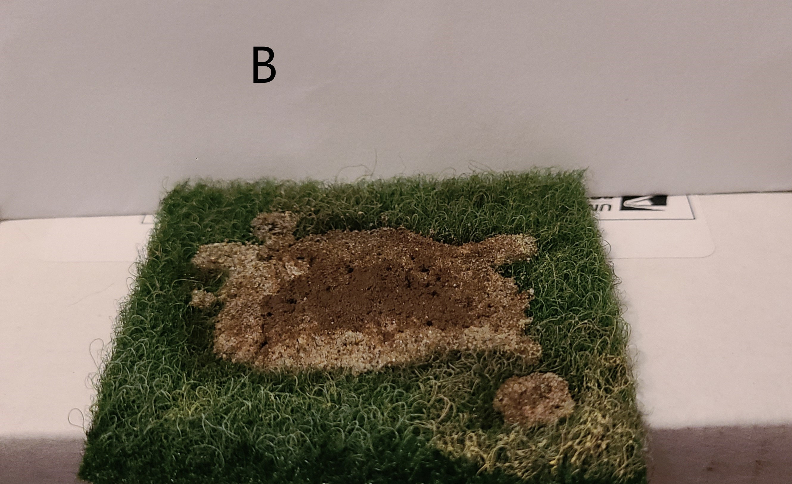Micro Mini 1:32 Scale Grass Bases With Real Sand for Model Horse ...