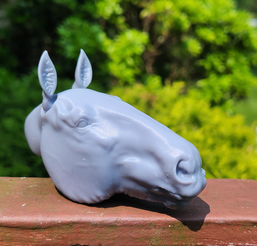Shadow - Shire - Resin Replacement Head for Traditional 1:9 Breyer and ...