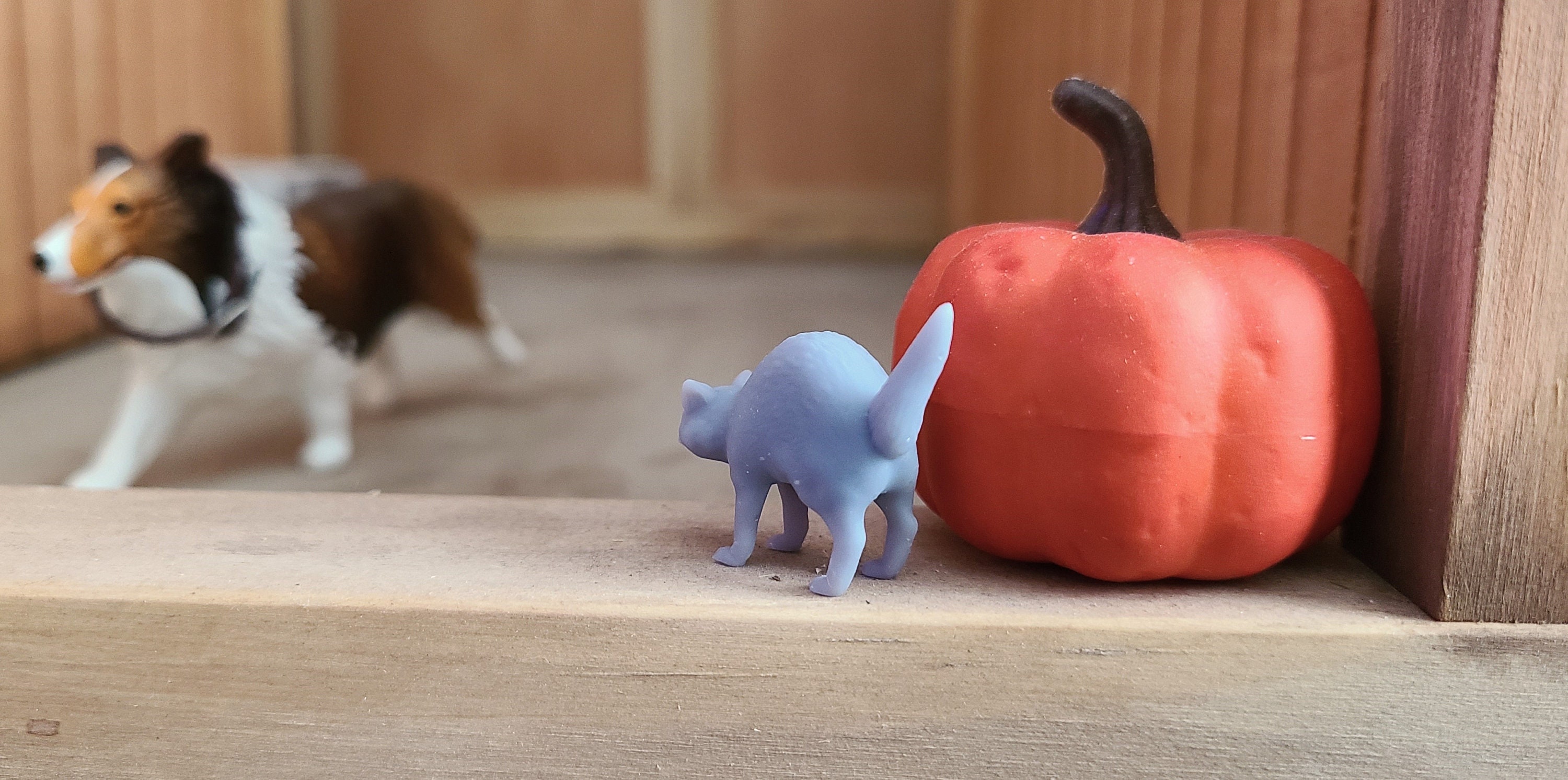 Boo the Kitten 1:9 Scale Miniature 3D Printed Resin Cat - Etsy