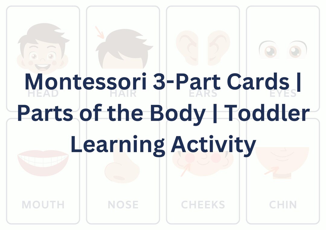 Montessori 3-part Cards | Parts of the Body Printable | Toddler ...