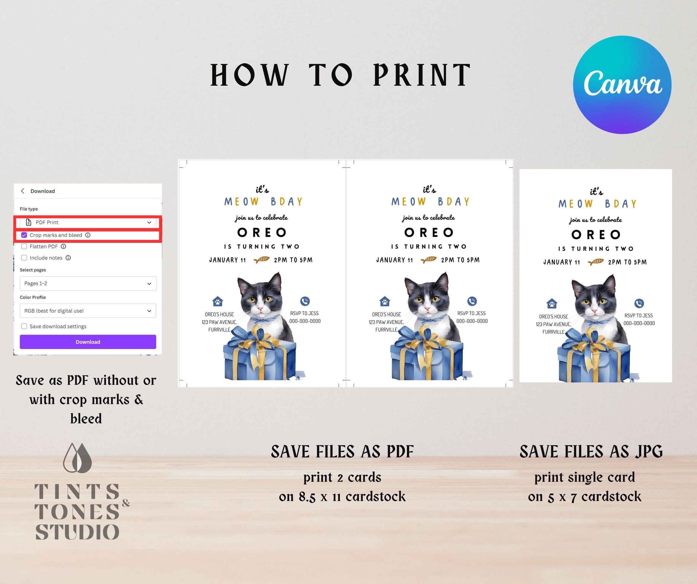 Editable Birthday Invitation Cat Birthday Party Invitation Template ...